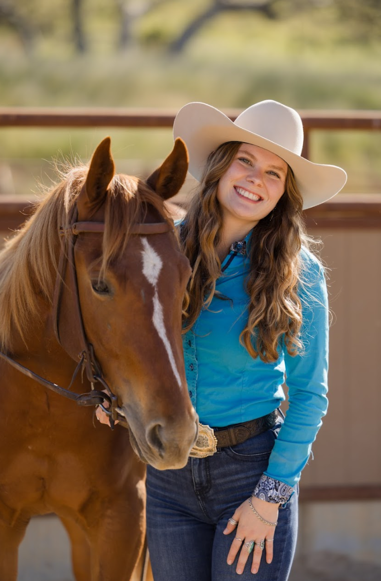 Nics Whizard (Ron) - Performance Horse Sales - Cal Poly, San Luis Obispo